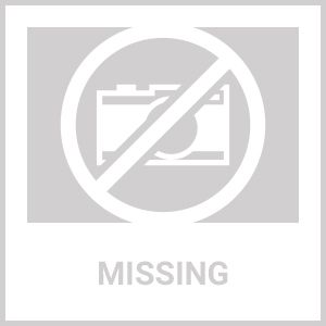 Hoosier Foam Dispenser - Barn Roof